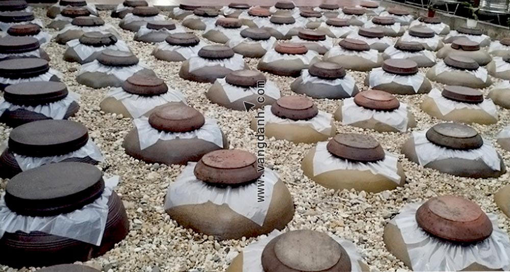 Rượu cần chôn đất — Độc đáo khác lạ, vị thơm ngon